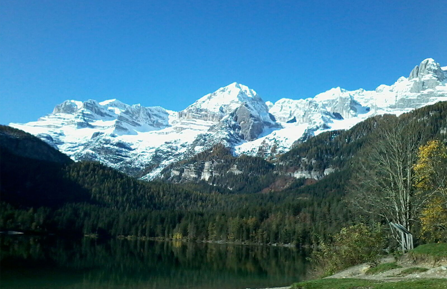 Hotel Alle Rose*** Cavedago - Risparmionetto.it